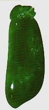Green Color Jadeite